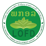 Our Clients - Lao IT Dev